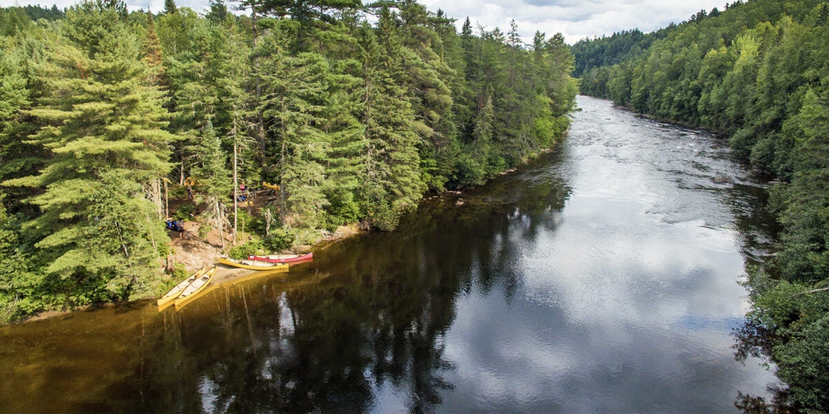 Noire River Getaway - Black Feather