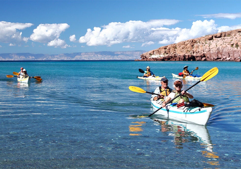 Baja, Mexico - Black Feather